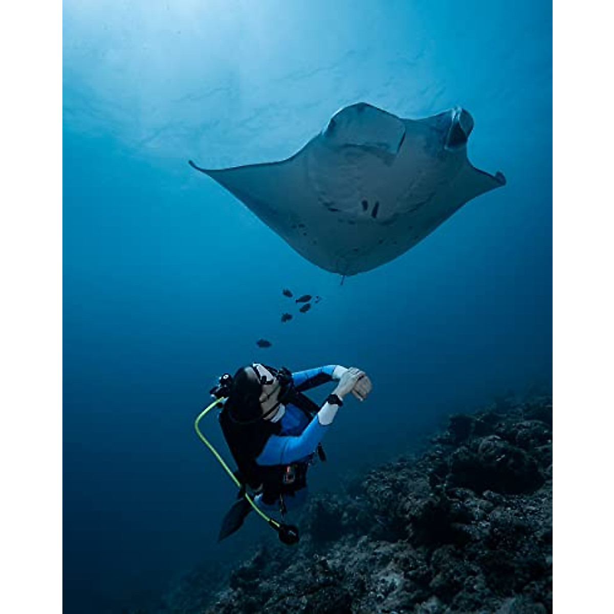 Garmin Descent Mk2S (Carbon Gray DLC/Black) GPS Divers Computer Watch Diver's Bundle | Includes PlayBetter Dry Bag Set | Wrist-Based HR, 6 Dive Modes, ABC Sensors | Diving Smartwatch | 010-02403-06