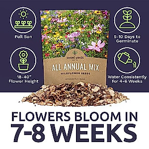Wildflower Seeds Annual Quick Blooming Mix - Large 1 Ounce Packet Over 7,500 Open Pollinated Seeds