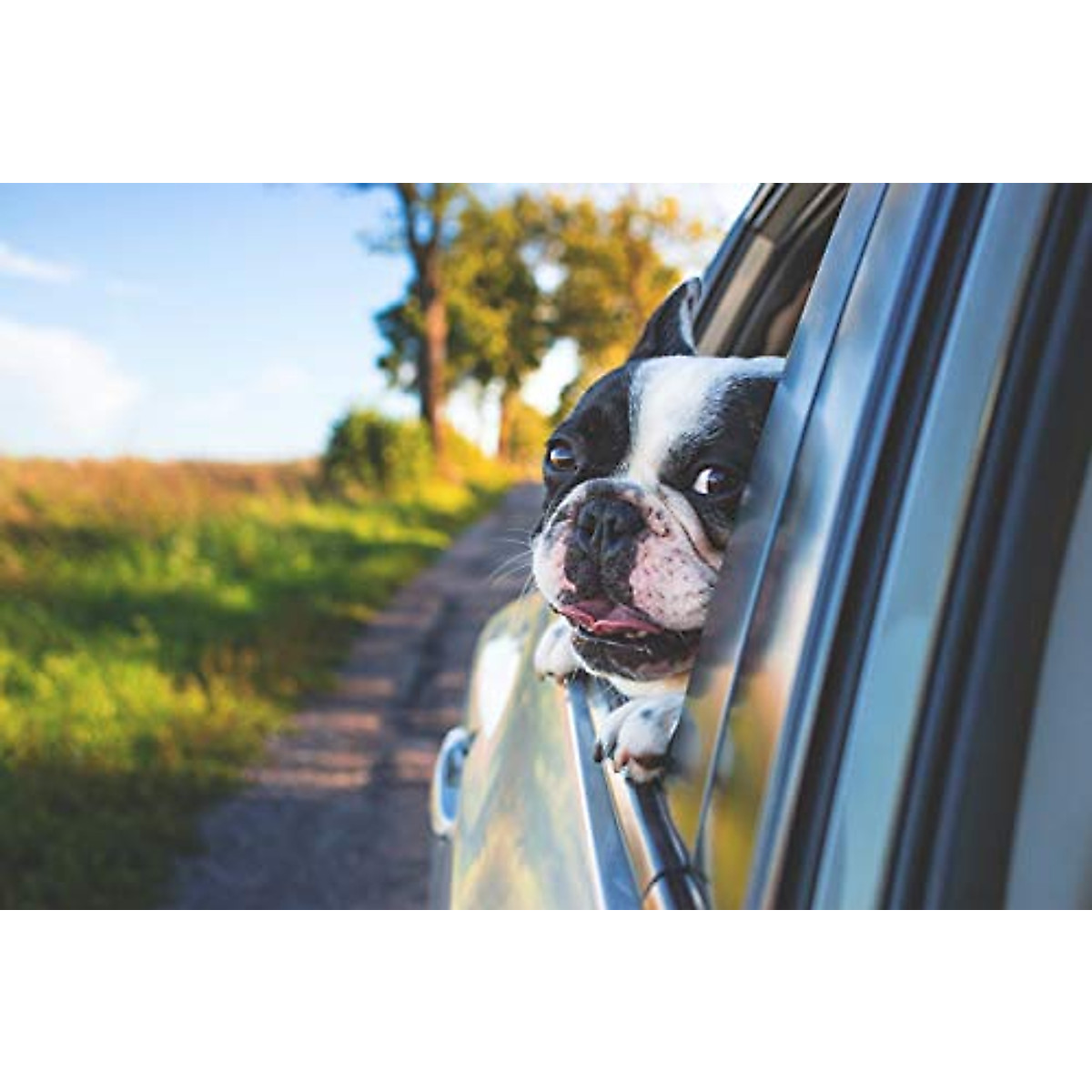 NANOMAN Nano-technology Car Fabric & Upholstery Care - Hydrophobic Waterproof Protector and Stain Guard for Auto Interior Fabrics, Seats, Carpets and Floor Mats.