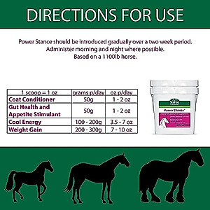Stance Power Powdered Coconut Oil Horse Supplement - May Support Coat Condition, Digestive Health and Stamina, GMO & Sugar Free - 15 lb