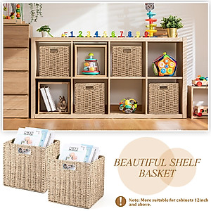 Vesici 12 Pcs Wicker Baskets Storage 11 Inch Wicker Baskets for Cube Rattan Storage Baskets Foldable Large Woven Wicker Basket with Handles for Organizer Shelves Pantry Living Room (Beige)