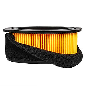 HIFROM Replacement Air Filter Pre Cleaner Assembly Replacement for Troy Bilt Roto-Tiller 951-10794 751-10794 (Pack of 1)