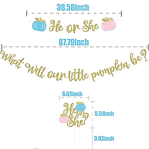 Pumpkin Gender Reveal Decorations Fall Gender Reveal Decorations He or She What Will Our Little Pumpkin Be Banner He or She Cake Topper He or She Fall Baby Gender Reveal Party Supplies