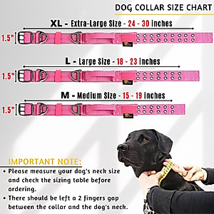 ADITYNA Heavy Duty Dog Collar with Handle - Reflective Pink Dog Collar for Large Girl Dogs - Wide, Thick, Tactical, Soft Padded - Perfect Dog Collar for Training, Walking, or Hunting