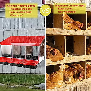 Vehipa Chicken Nesting Boxes, 3 Hole Metal and Plastic Chicken Laying Boxes with Roof, Rollout Egg Collector for Chicken Coop and Farm - Collect Eggs Easily
