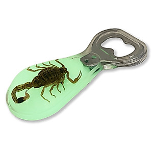 Genuine Golden Scorpion in Glow-in-The-Dark Lucite Bottle Opener Refrigerator Magnet (3.75"H)