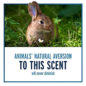 Liquid Fence Deer And Rabbit Repellent Concentrate 32 Ounces, Apply Year-Round