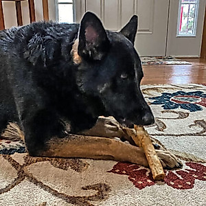 Fieldcrest Farms Nothing to Hide Natural Rawhide Alternative Large 10'' Rolls for Dogs - 3 Pack (6 Chews) Premium Grade Easily Digestible Chews - Great for Dental Health (Chicken)