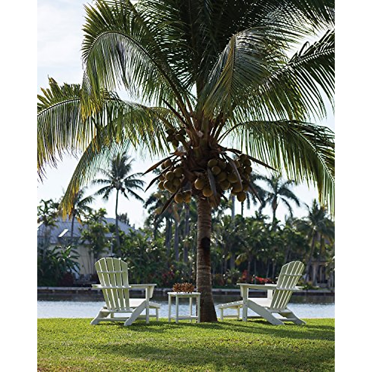 POLYWOOD SBT18WH South Beach 18" Outdoor Side Table, White