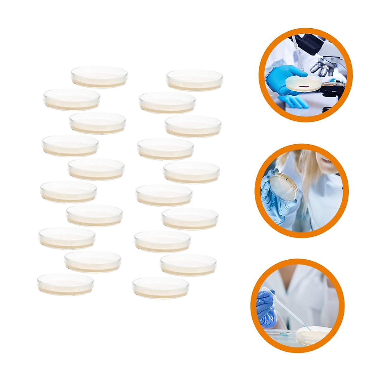 FELTECHELECTR 20 Pcs Petri Dish Agar Prepoured Nutrient Plates for Science Lab Experiment Accessories