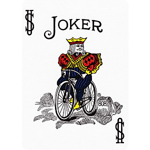 Bicycle Rider Back Silver Deck