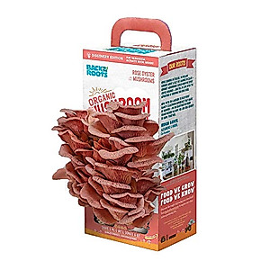 Back to the Roots Organic Pink Mushroom Grow Kit, Harvest Gourmet Mushrooms In 10 Days