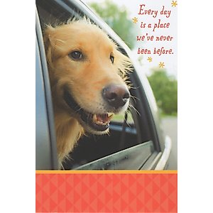 Heartline Golden Retriever Happy Birthday Card - Every Day is a Place We've Never Been Before - Hope Today You Enjoy Looking Back on All Your Achievements and Looking Forward to Many New Adventures