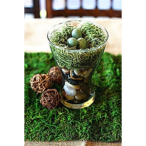 Byher Dried Moss Table Runner for Party Garden Decoration, Dark Green 30cm X 180cm ( 12" x 71" )