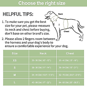 Wisedog No Pull Lightweight Dog Vest Harness with Soft and Comfortable Cushion, Breathable Mesh, for Small Medium Large Dogs Walking (S(Neck: 9.84"-14.17";Chest: 14.17"-22.05"), Sage Green)