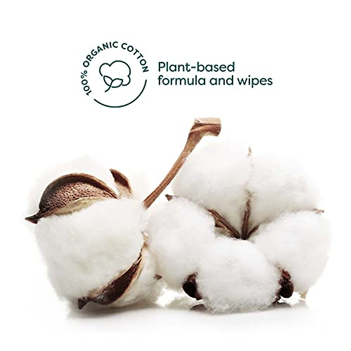 Rawganic Anti-aging Hydrating Facial wipes, Fragrance-free Biodegradable Organic Cotton Wipes with Pomegranate and Aloe Vera (set of 4)