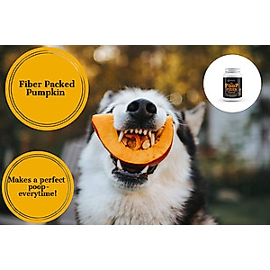 Poop Fixer Digestion Aid for Dogs. Fiber, Prebiotic & Active Enzymes to Relieve Gas and Other Digestive Issues and Optimize Stool. 13.4 OZ Powder