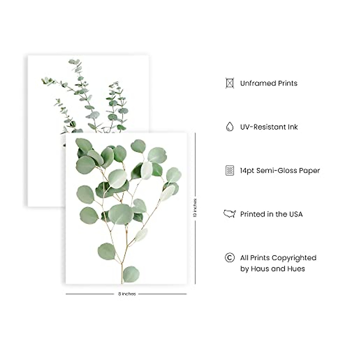 HAUS AND HUES Botanical Plant Wall Art Prints - Set of 4 Plant Decor Prints, Floral Kitchen Pictures, Flower Leaves Wall Art, Boho Leaf Eucalyptus Wall Décor (8x10, UNFRAMED)