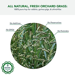 Viking Farmer Orchard Grass for Rabbits & Small Pets, 5 lbs