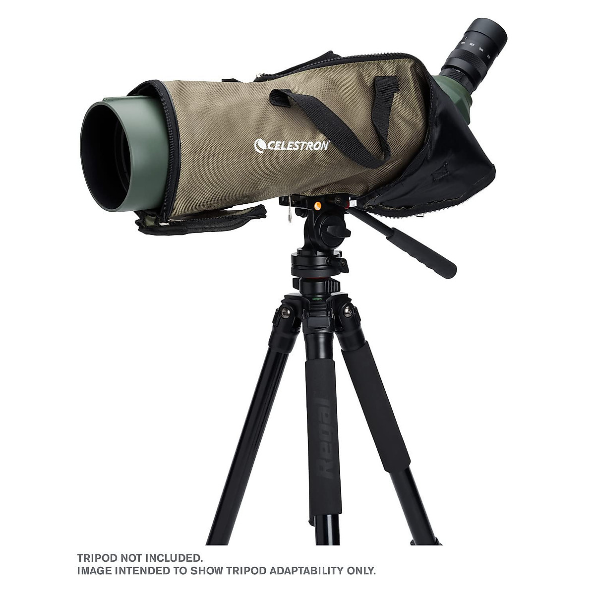 Celestron Regal M2 100ED Spotting Scope – ED Glass for Hunting, Birding and Outdoor Actvities – Phase and Dielectric Coated BaK-4 Prism – Fully Multi-Coated Optics – Dual Focus – 22-67x Zoom Eyepiece