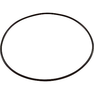 Waterway Executive 48 / 56 Frame Spa Pump Volute O-Ring O-261 805-0261