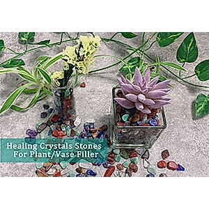 MAIBAOTA Natural 7 Chakra Crystal Quartz Rocks Chips Vase Filler Rocks for Succulent Plant Small Fish Tank Aquarium Gravel Decorative Pebbles Stones(200 gram)