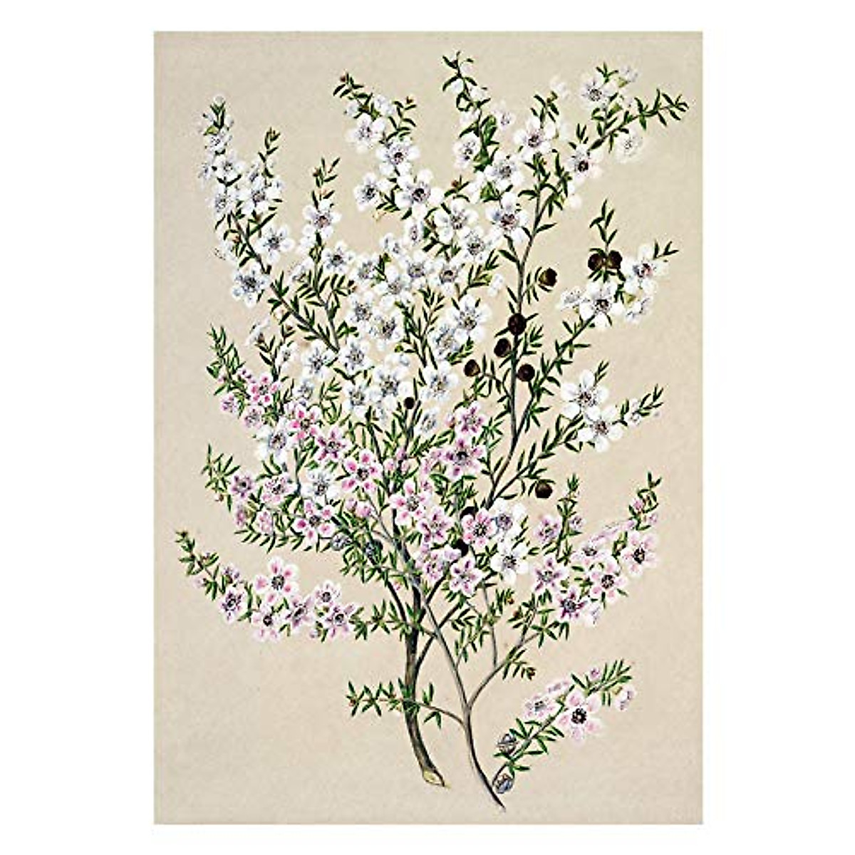 Ink Inc. Botanical Prints Floral Wildflowers Wall Art Prints - Set of 9-5x7- Matte - Unframed