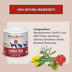 Hilton Herbs Senior Dog Optimum Health Supplement for Older Dogs, 2.1 oz Tub