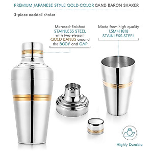 VinoBravo Cocktail Shaker Set for Home Bars and Professionals, Include Martini Shaker 17oz, Double Jigger, Mixing Spoon and Fine Mesh Strainer - Premium 18/8 Stainless Steel