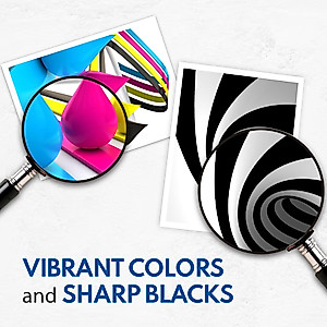 502XL Ink Refill Bottles LOMEN Cyan Replacement for epson 502XL 502 ET-2850 ET-3830 ET-3850 ET-2760 ET-3760 ET-15000 ET-4760 ET-4850 ET-2700 ET-2750 ET-3710 ET-3750 ET-4750 ET-3700 (1 Pack,Cyan)