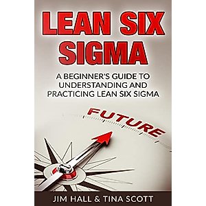 Lean Six Sigma: Beginner's Guide to Understanding and Practicing Lean Six Sigma