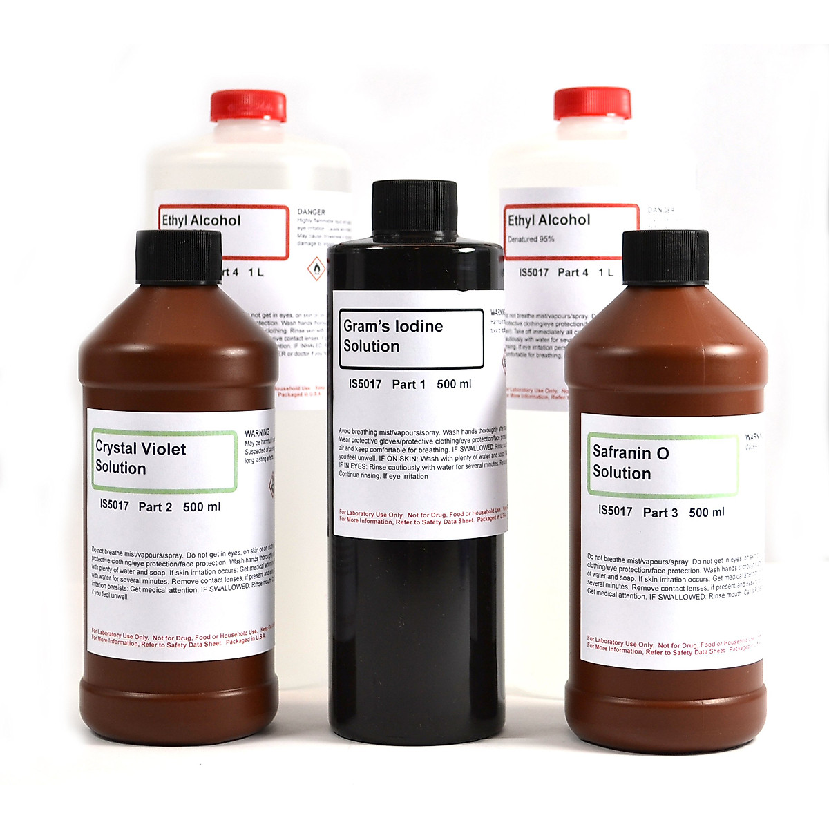 ALDON Innovating Science Gram's Stain Kit - Large