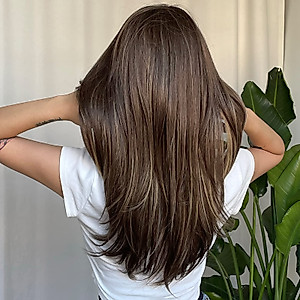 HAIRCUBE Long Brown Wigs for Women Layered Synthetic Hair Wig with Highlight