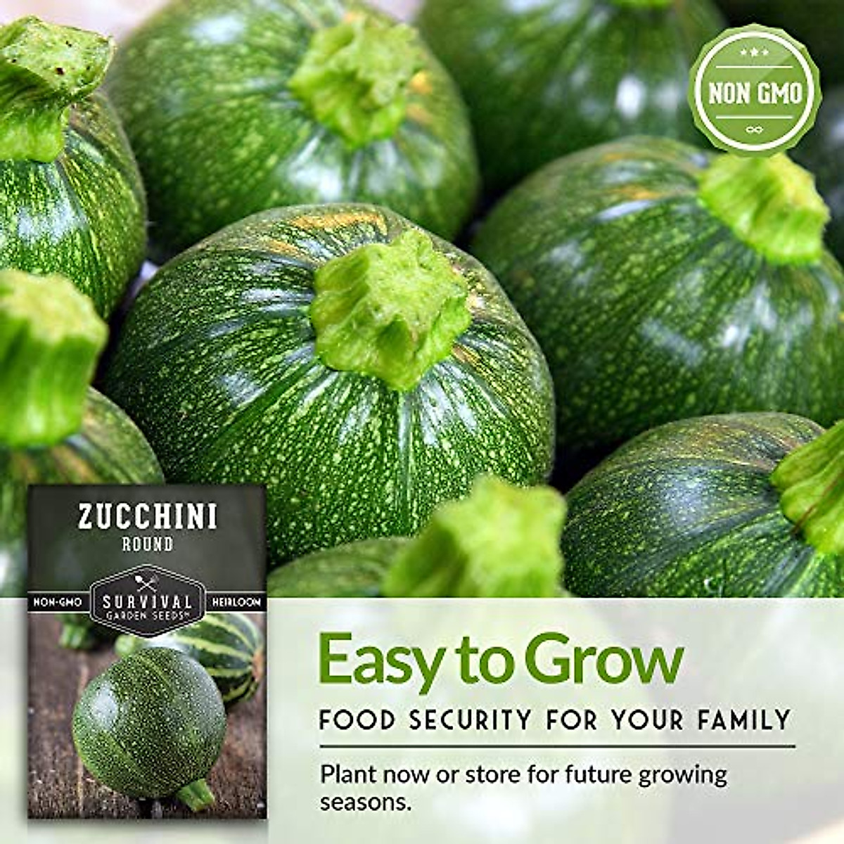 Survival Garden Seeds - Round Zucchini Seed for Planting - Pack with Instructions to Plant and Grow Small Green Zucchinis in Your Home Vegetable Garden - Non-GMO Heirloom Variety