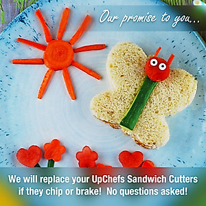 UpChefs Sandwich Cutters for kids - Create Healthy School Lunches in Minutes with These Fun Bento Lunch Box Accessories – Includes Fruit and Vegetable cookie cutters – Food Picks Plus Scratch Notes