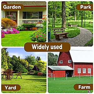 Dsdgkmk Mole Repellent for Lawns, Gopher Repellent, Mole & Vole Repellent, Mole Deterrent for Yard/Garden, Vole Repellent Outdoor,Mole and Gopher Repellent, Get Rid of Mole, Groundhog Repellent -8P