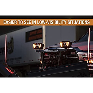 SaltDogg 1308136 36 Inch Illuminated LED Snow Plow Guides, Snow Plow Blade Markers for High Visibility