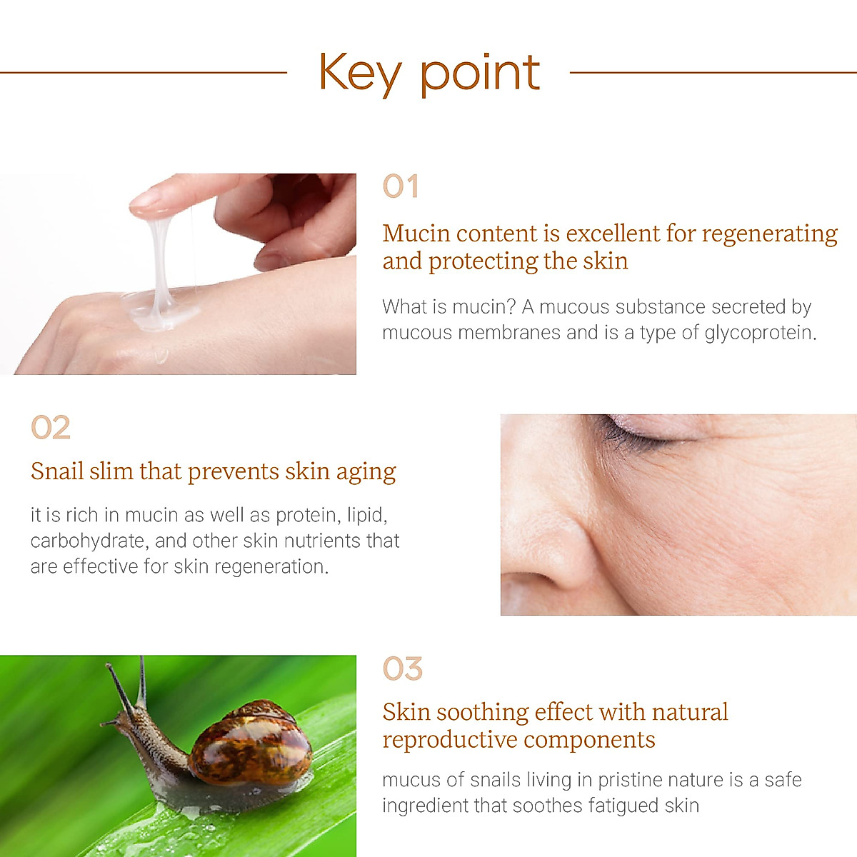 Jantblanc Snail -Mucus Skin Care Set (Skin Care 6 Set)