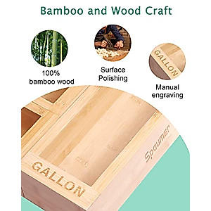 Ziplock Bag Storage Organizer for Kitchen Drawer, Premium Moso Bamboo Food Storage Bag Holders Compatible with Gallon, Quart, Sandwich and Snack Variety Size Bag, Ziploc, Solimo, Glad, Hefty (4 Piece Set) (S2)