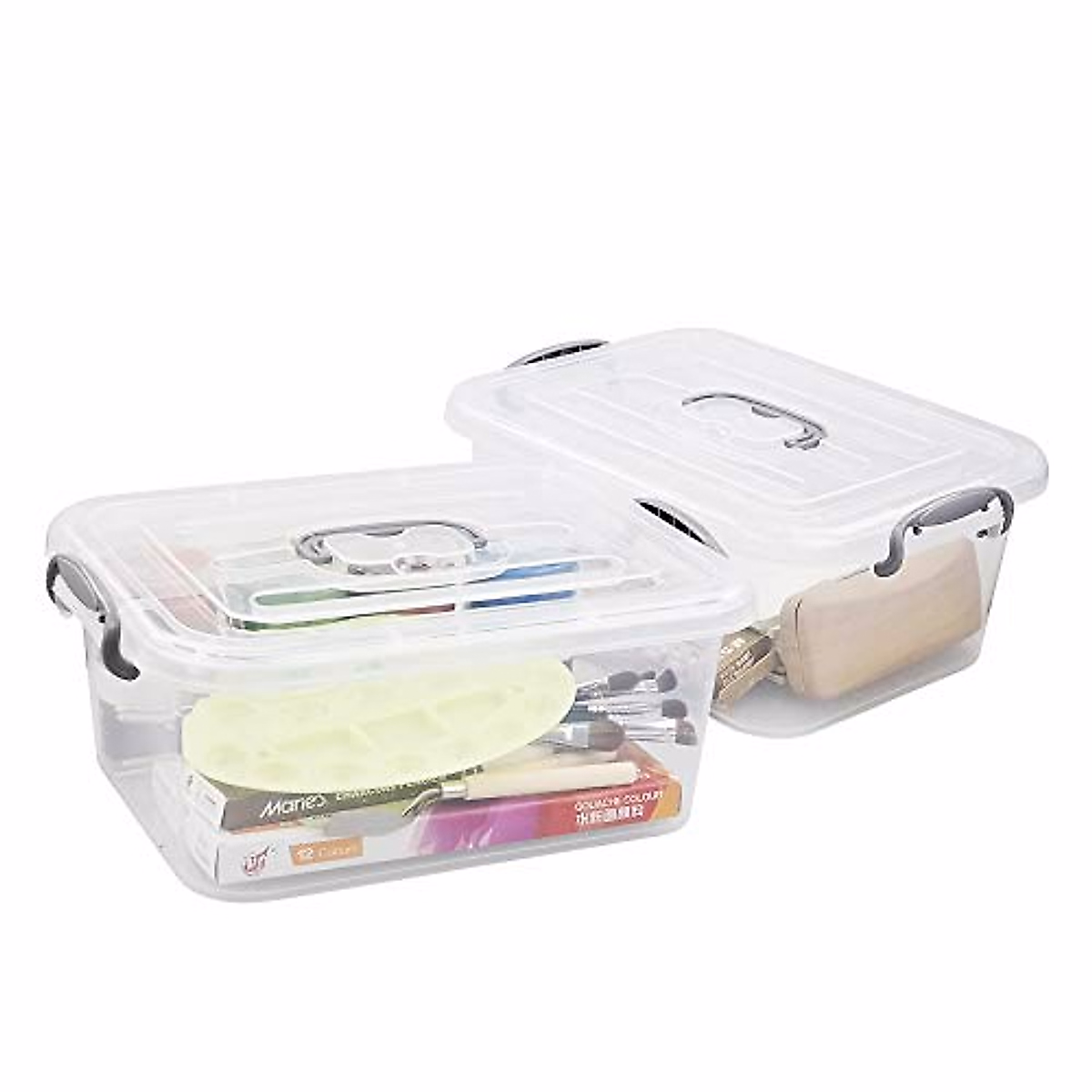 Zerdyne 2 Packs 8 L Clear Plastic Storage Boxes with Grey Handle