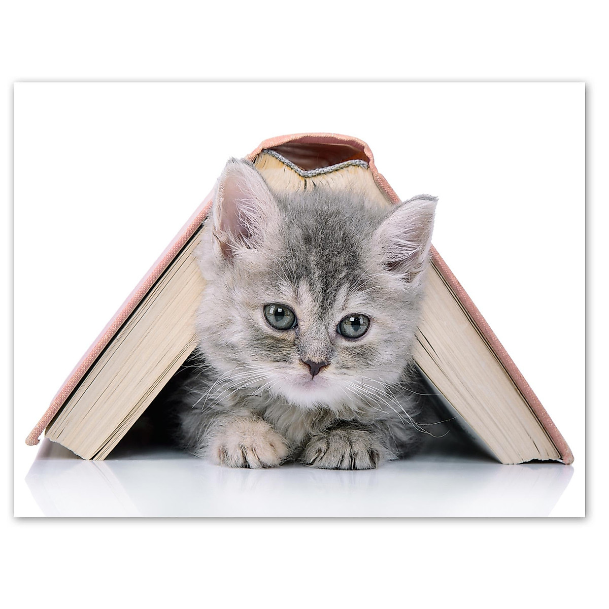 Small World Greetings Playful Kitten Cards 12 Count - Blank Inside with Envelopes - A2 Size (5.5”x4.25”) - Cat Stationery - All Occasion, Thank You, Birthday, and More