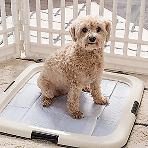 IRIS USA 23.0" x 22.75" Square Pee Pad Holder, Pet Puppy Small Medium Dog Incontinence Potty Training Pad Tray, Dark Gray