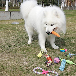 Dog Toys for Aggressive Chewers Keep Your Pet Busy Indestructible Tough Dog Toys with 12 Pieces Interactive Dog Rope Toys for Playing Teething Chew Toys for Boredom