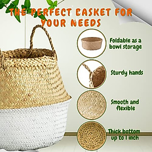 LiloCraft 2 Pack Seagrass Plant Basket XXLarge (16x14 inches) - TheMulti-Functional Home Decor Storage Solution with Eco-Friendly, Woven Basket Planter Indoor with Handles, Round Boho Plant Pot