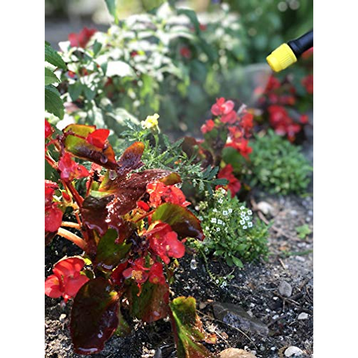 Pumpless Battery Powered Sprayer