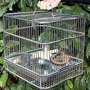 LOVEIFE 3 Pack Bird Perch, Round Wooden Platform Parrot Toys Bird Cage Accessories (Style1)