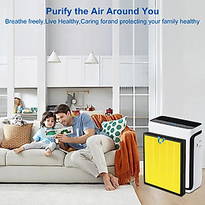 Vital 100S Pet Replacement Filter Compatible with Levoit Smart WiFi Vital 100S Air Puri-fier, 3-in-1 H13 HEPA and High-Efficiency Activated Carbon Filter, Vital 100S-RF, 2 Pack.