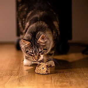 Gigwi Cat Toys for Indoor Cats, Interactive Cat Toys for Cat Exercise, Automatic Moving Kitten Toys with Real Mouse Sound