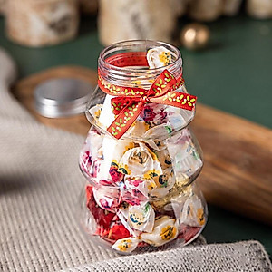 1 Pcs Christmas Tree Candy Jar Cookie Jars Xmas Biscuits Jars Candy Bottles Empty Beverage Bottles Holiday Bottle for Christmas Party Favors Clear Pumpkin Candy Jar Plastic