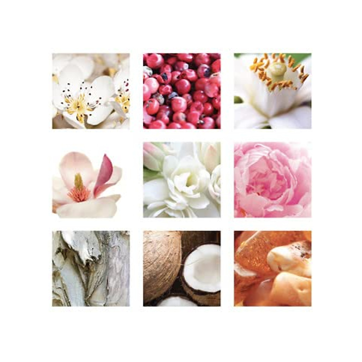 Badgley Mischka Eau de Parfum, 3.4 Fl Oz